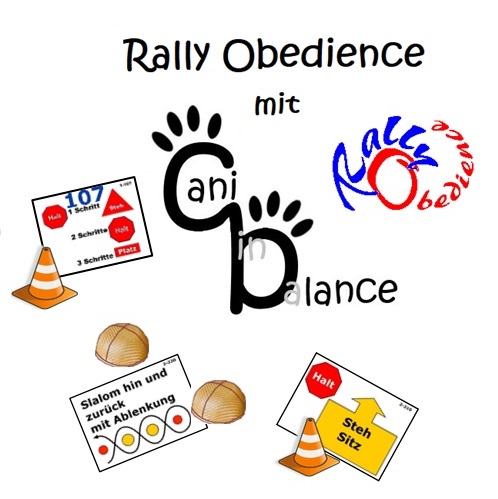 Rally Obedience - Hundeschule cani in balance
